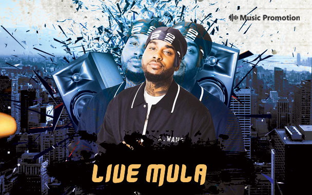 Brilliant Track 'G-Ride (one time)' by LIVE MULA Gives You a Fusion of ...