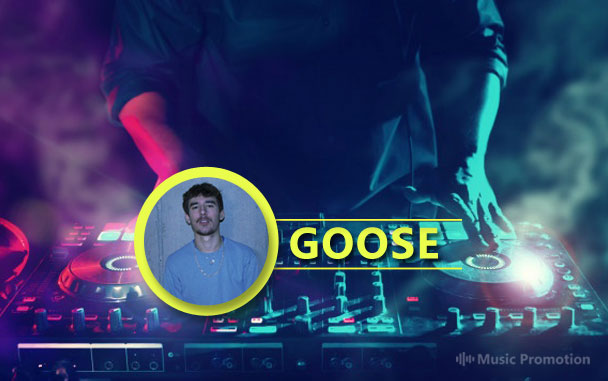 The New Single ‘I Don’t Know Why’ by Chicago Singer Goose is the Song ...