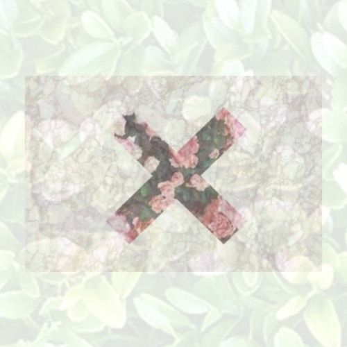 TIMELYXO 'mmxix is Exploring the Inexplicable Parts of Hip Hop with ...